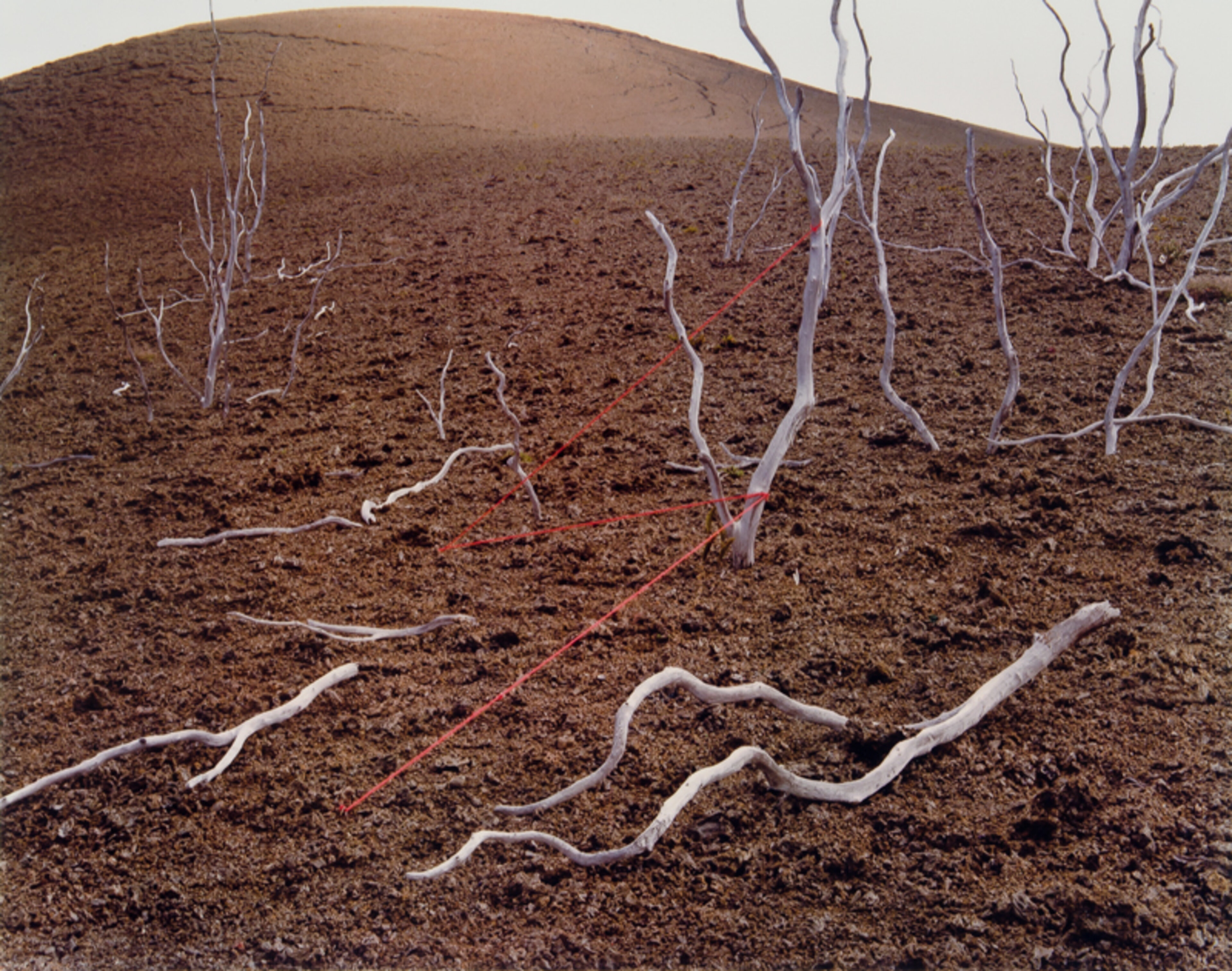 John Pfahl | Sheldon Museum of Art | Nebraska